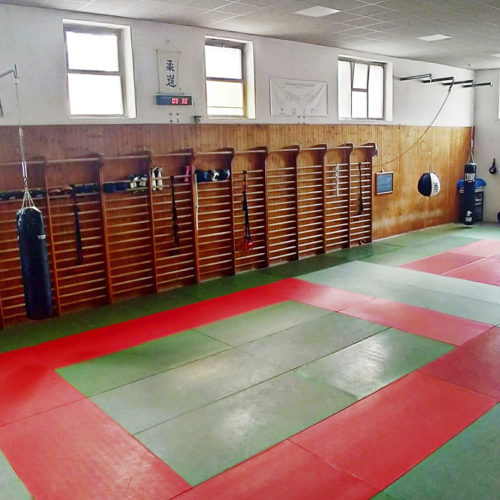 Strutture sportive | DLF Alessandria - Asti